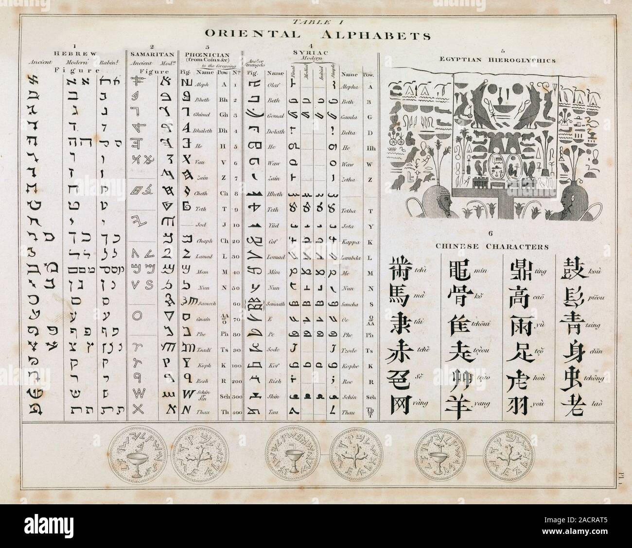 Middle Eastern alphabets. 19th-century tables showing the scripts and ...