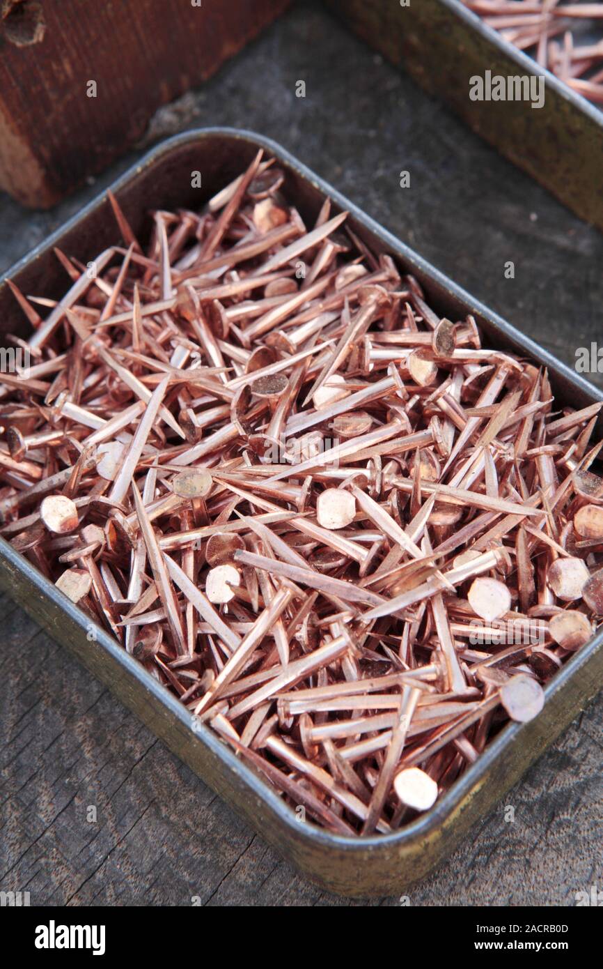 Copper nails in a box Stock Photo - Alamy