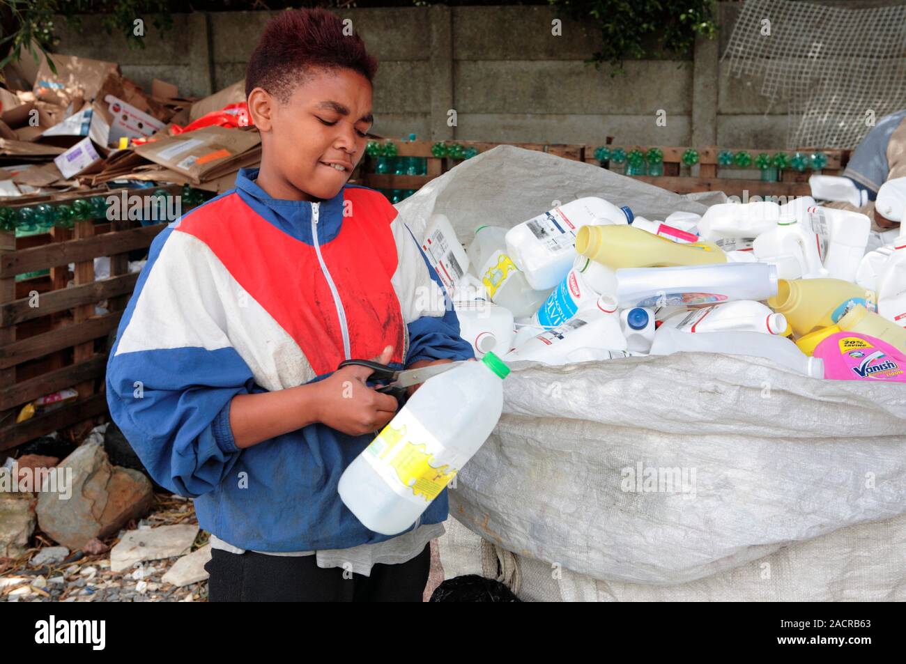 Recycling plastic. Boy collecting plastic for recycling. Photographed ...