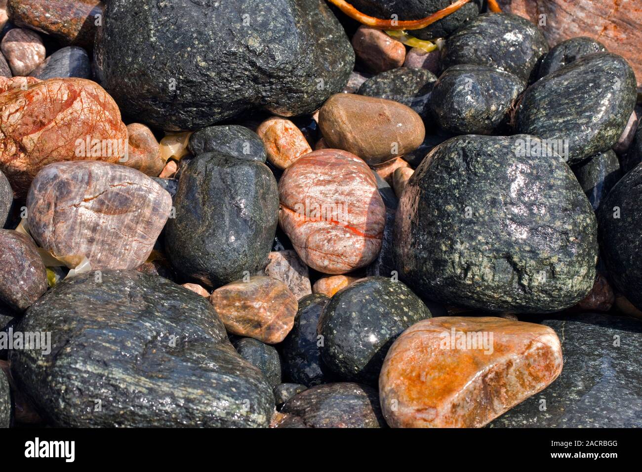 Coastal rocks and pebbles. These rocks and pebbles have formed by ...