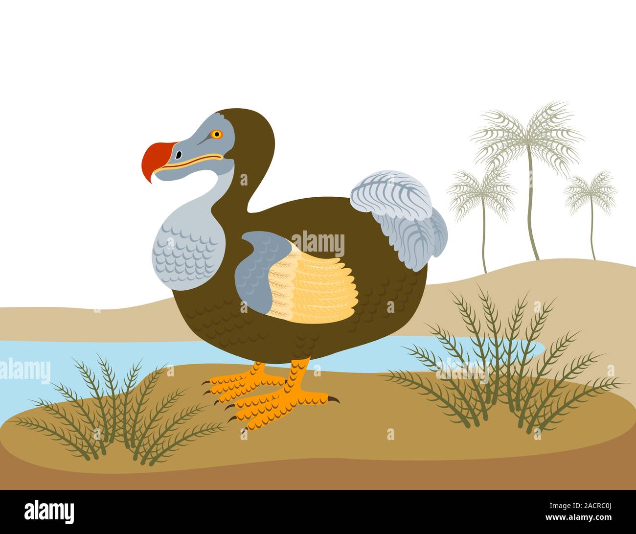 Dodo bird vintage hi-res stock photography and images - Alamy