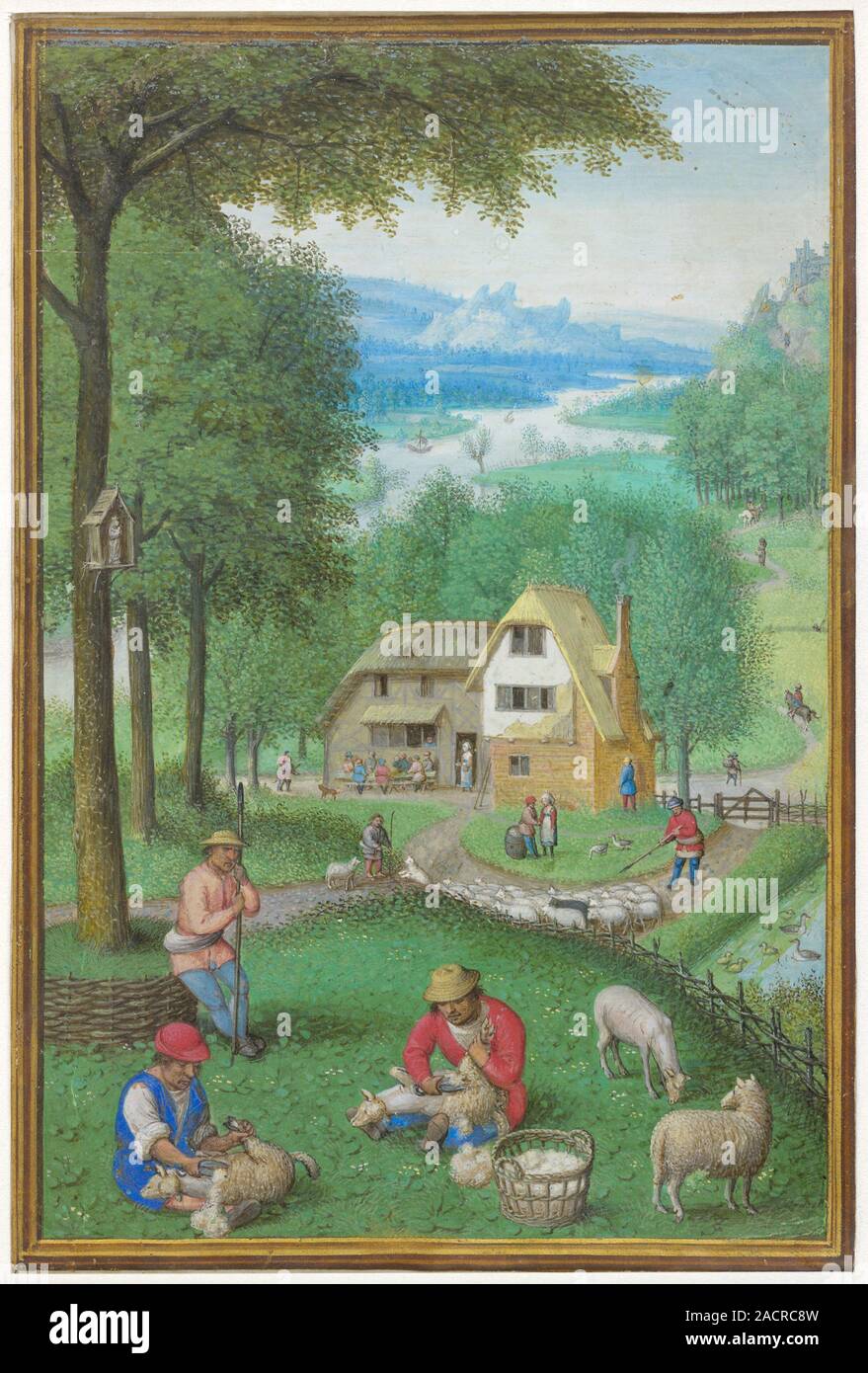 Sheep-shearing (Whole folio) Calendar miniature for June showing two ...
