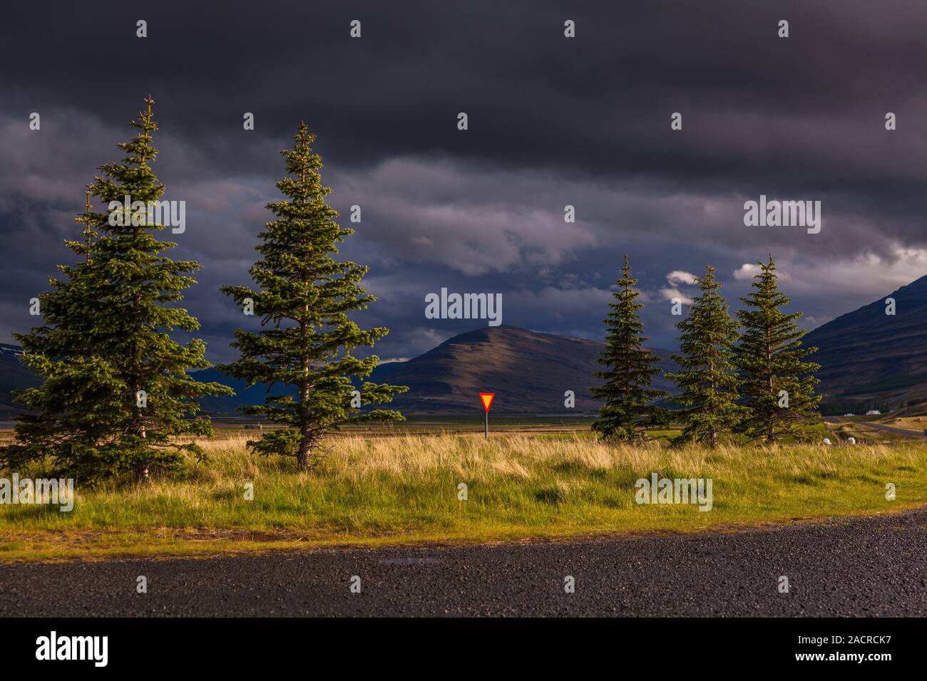 traffic sign and trees on Iceland Stock Photo - Alamy