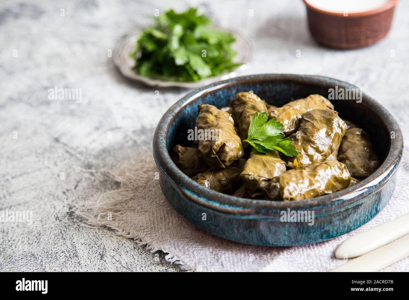 Traditional dolma (sarma) in grape leaves with copyspace. Lebanon ...