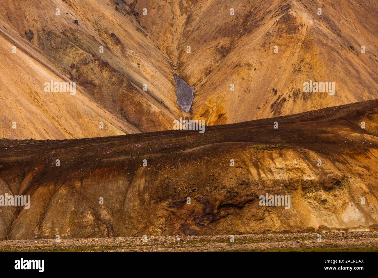 Rangy hi-res stock photography and images - Alamy