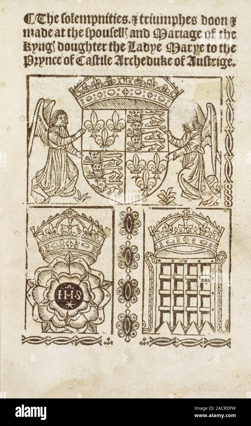 Coat of arms emblem and portcullis design. Image taken from The ...