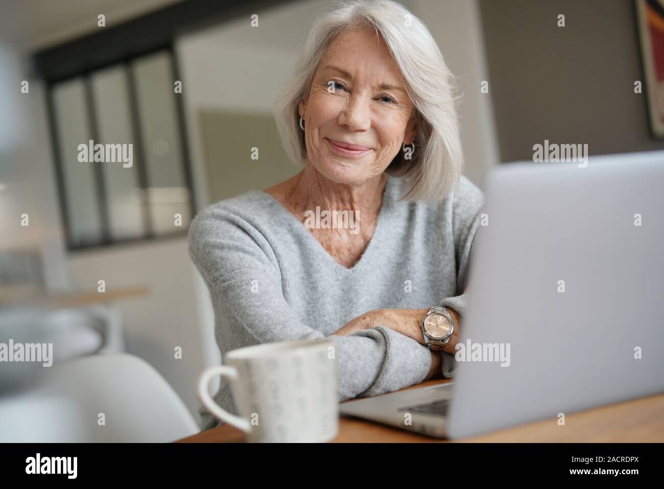 Elderly woman at home with computer Stock Photo - Alamy