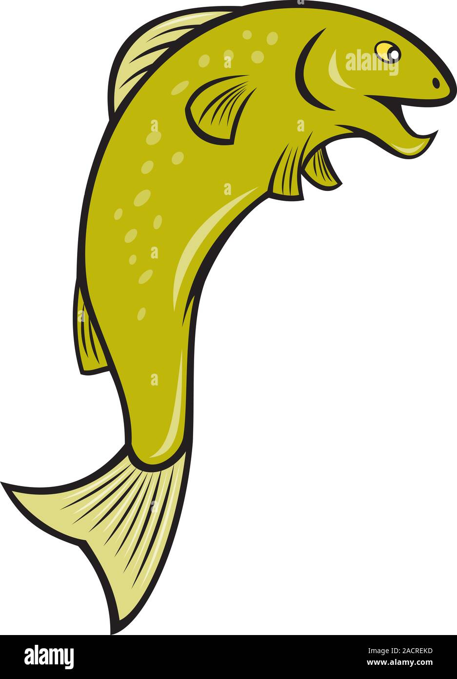 Cartoon Spotted Trout Fish Jumping Stock Photo - Alamy