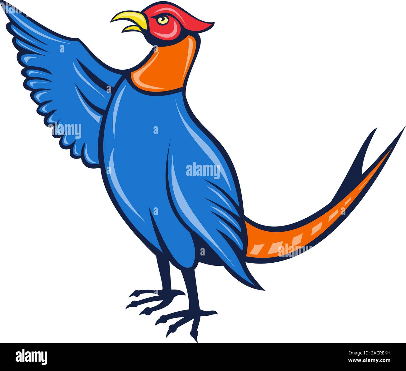 illustration of a cartoon pheasant bird pointing up with wing isolated ...
