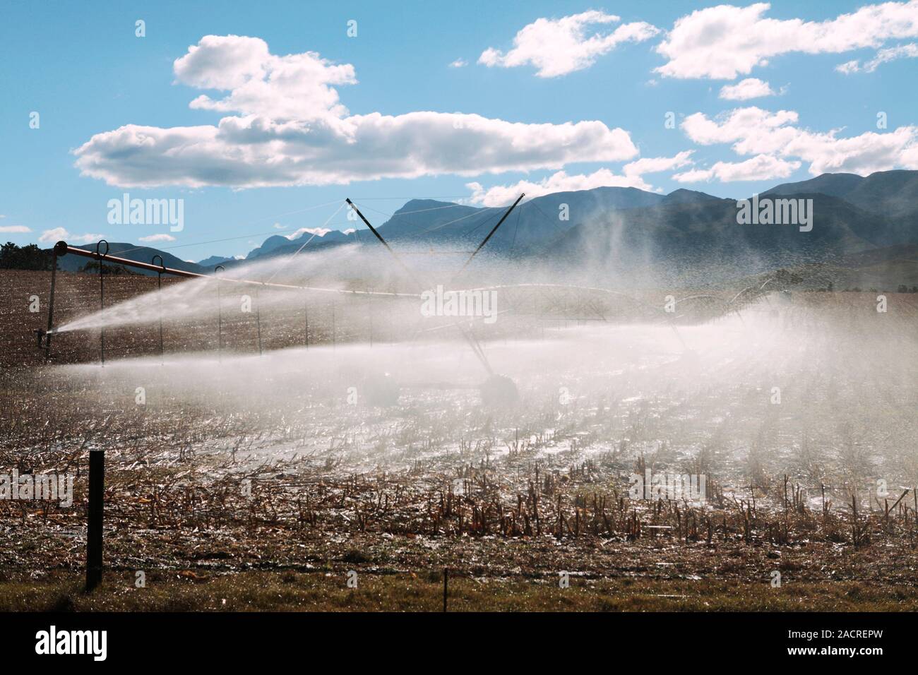 Farm irrigation. Farmland being irrigated. Photographed in Overberg ...