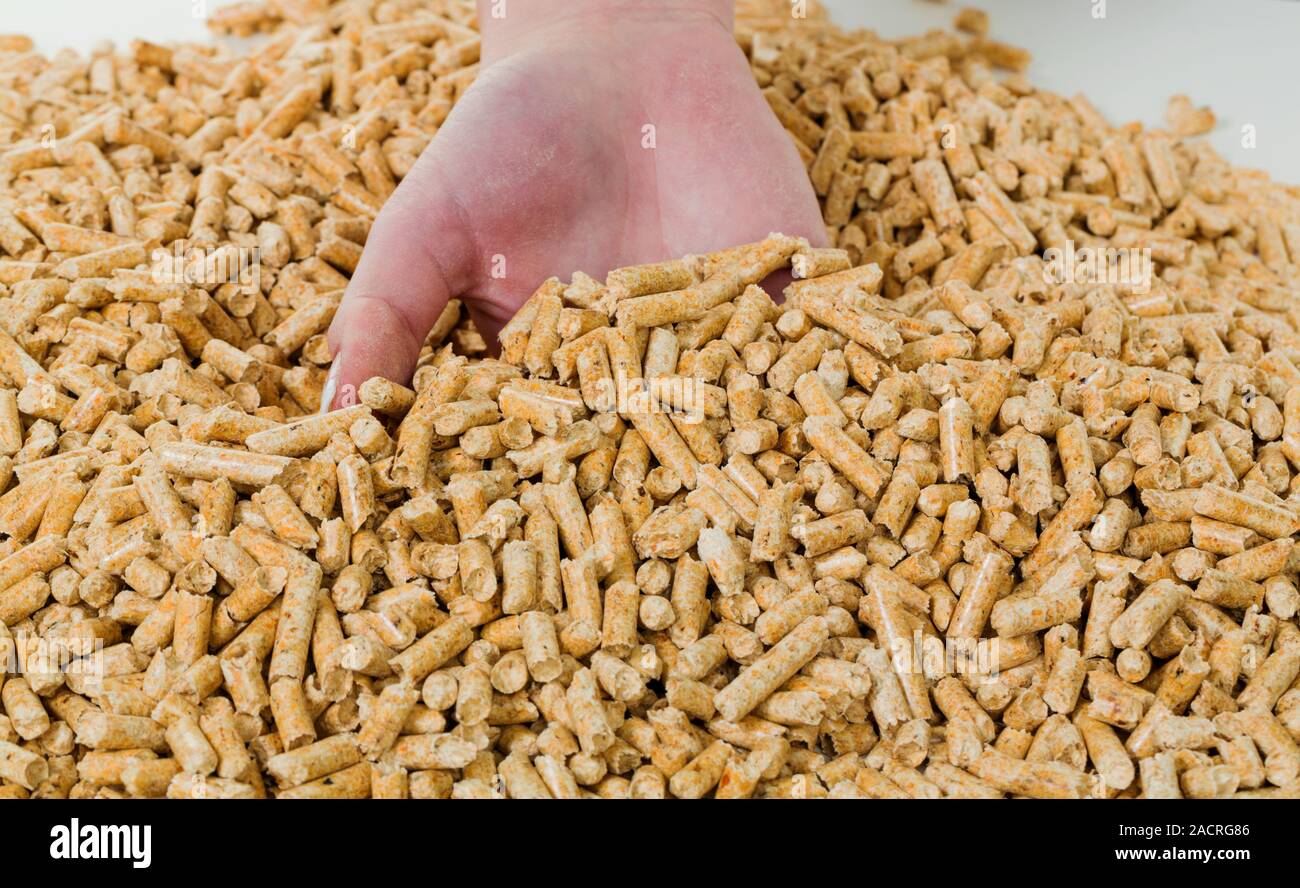 Hand with pellets as an alternative energy source Stock Photo - Alamy