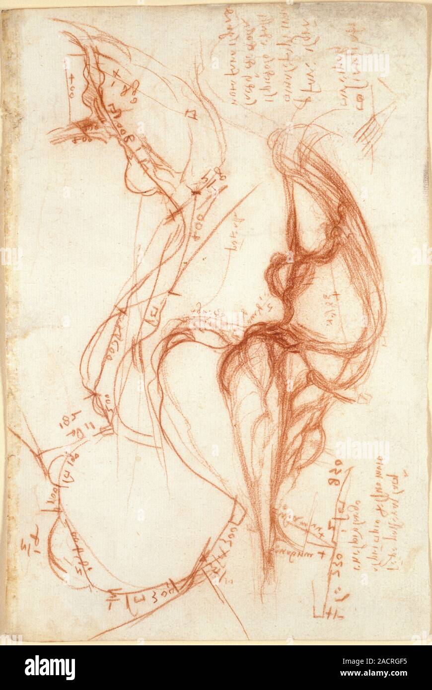 Leonardo da Vinci's notes, Whole folios Notes, with sketches and ...