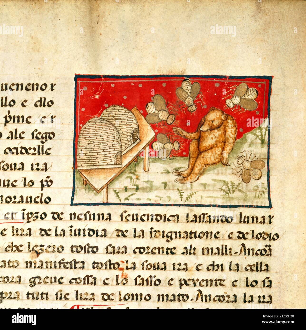 Bear with bees and bee hives, (Miniature only) A bear, surrounded by ...