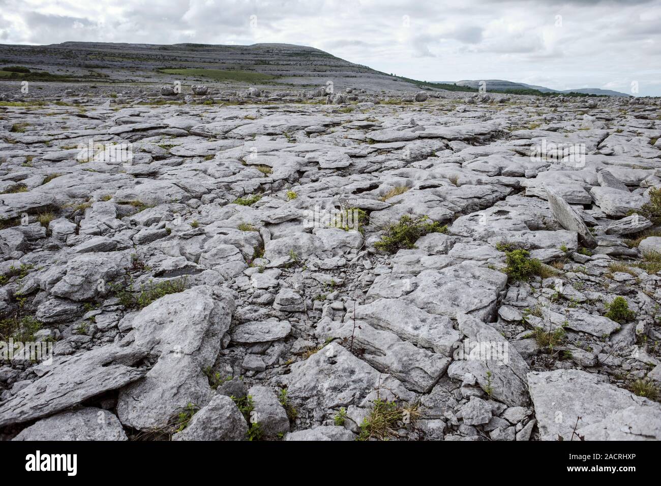 Limestone pavement, the Burren, Co. Clare, Ireland Stock Photo - Alamy