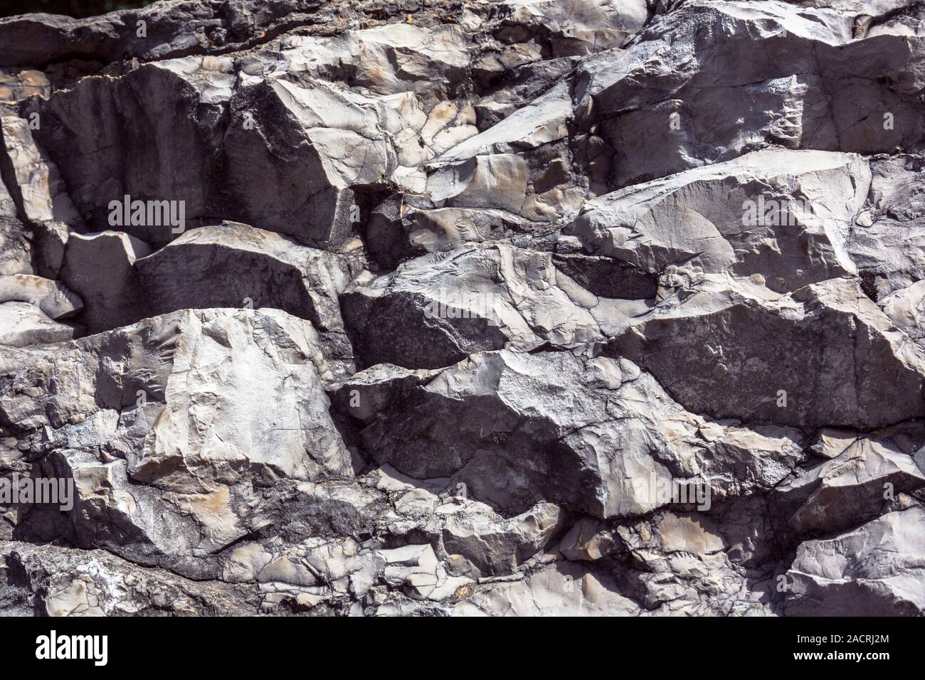 Lithographic limestone, close-up. This sample of this calcareous ...