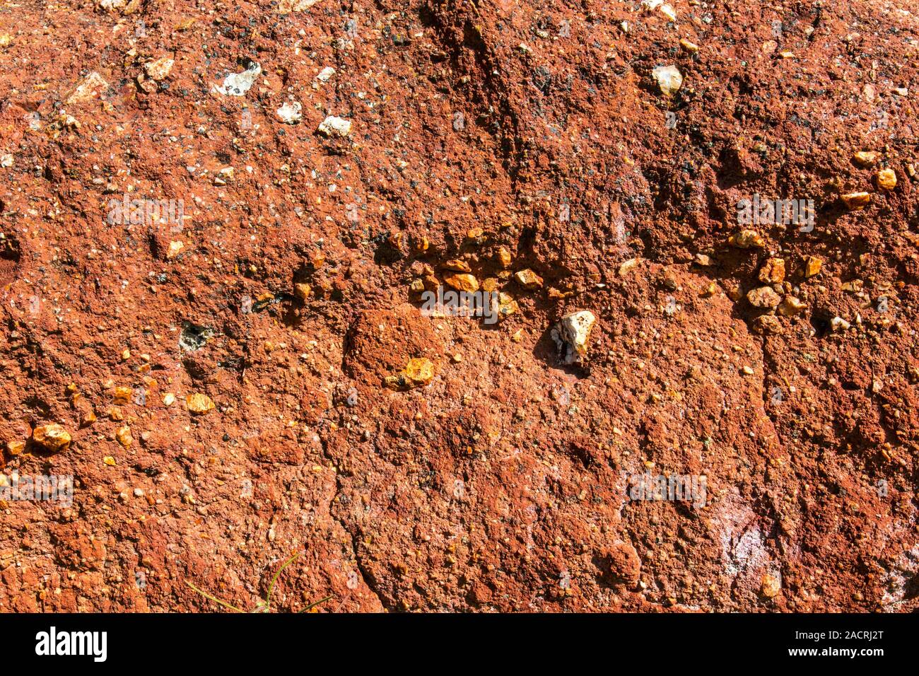 Red sandstone, close-up. This detrital sedimentary rock sample contains ...