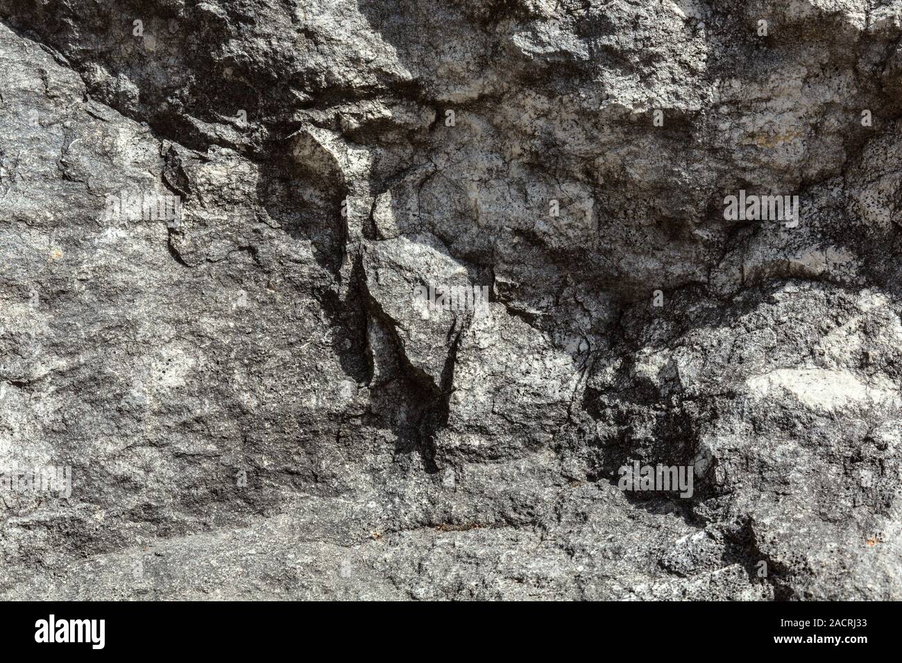 Dolomite rock, close-up. This carbonated sedimentary rock, rough to the ...
