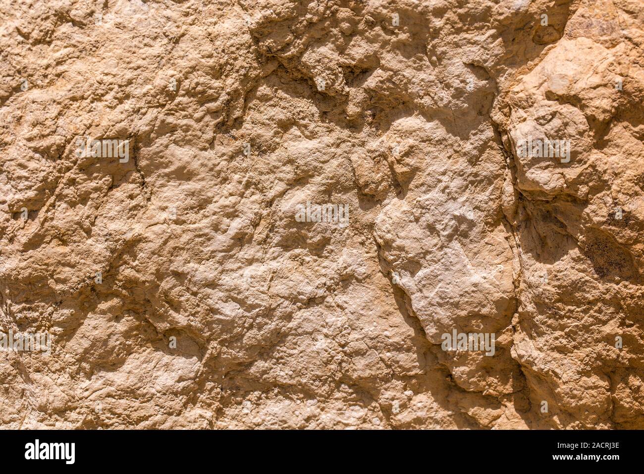 Yellow limestone, close-up. This calcareous sedimentary rock has formed ...