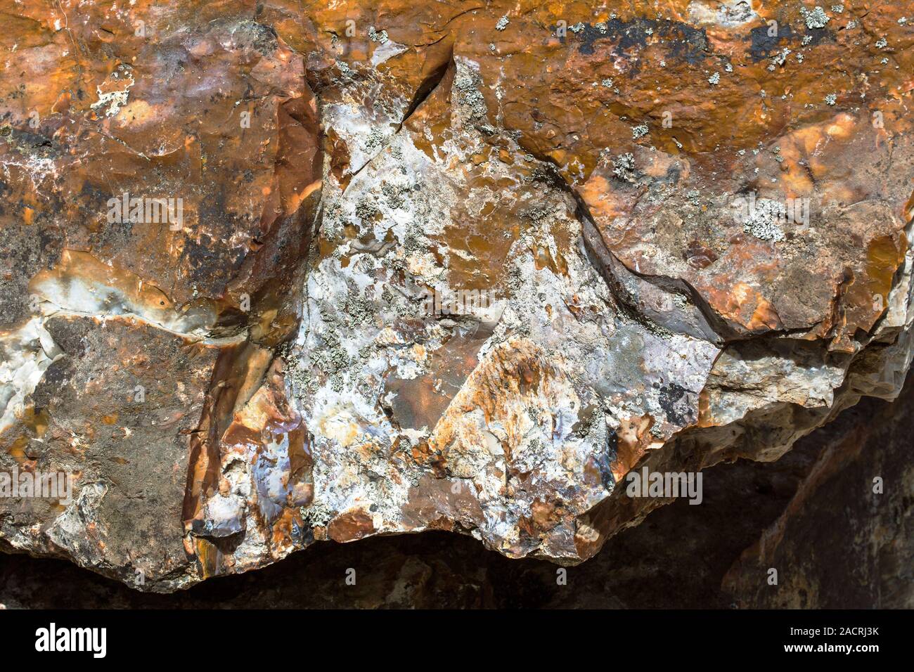 Flint, close-up. This siliceous, sedimentary rock is here coloured by ...