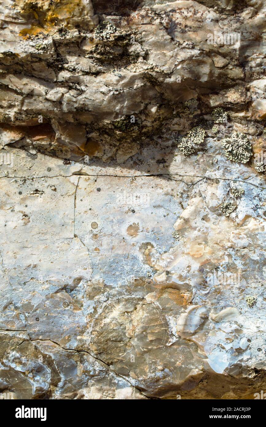 Flint, close-up. This siliceous, sedimentary rock can be coloured by ...