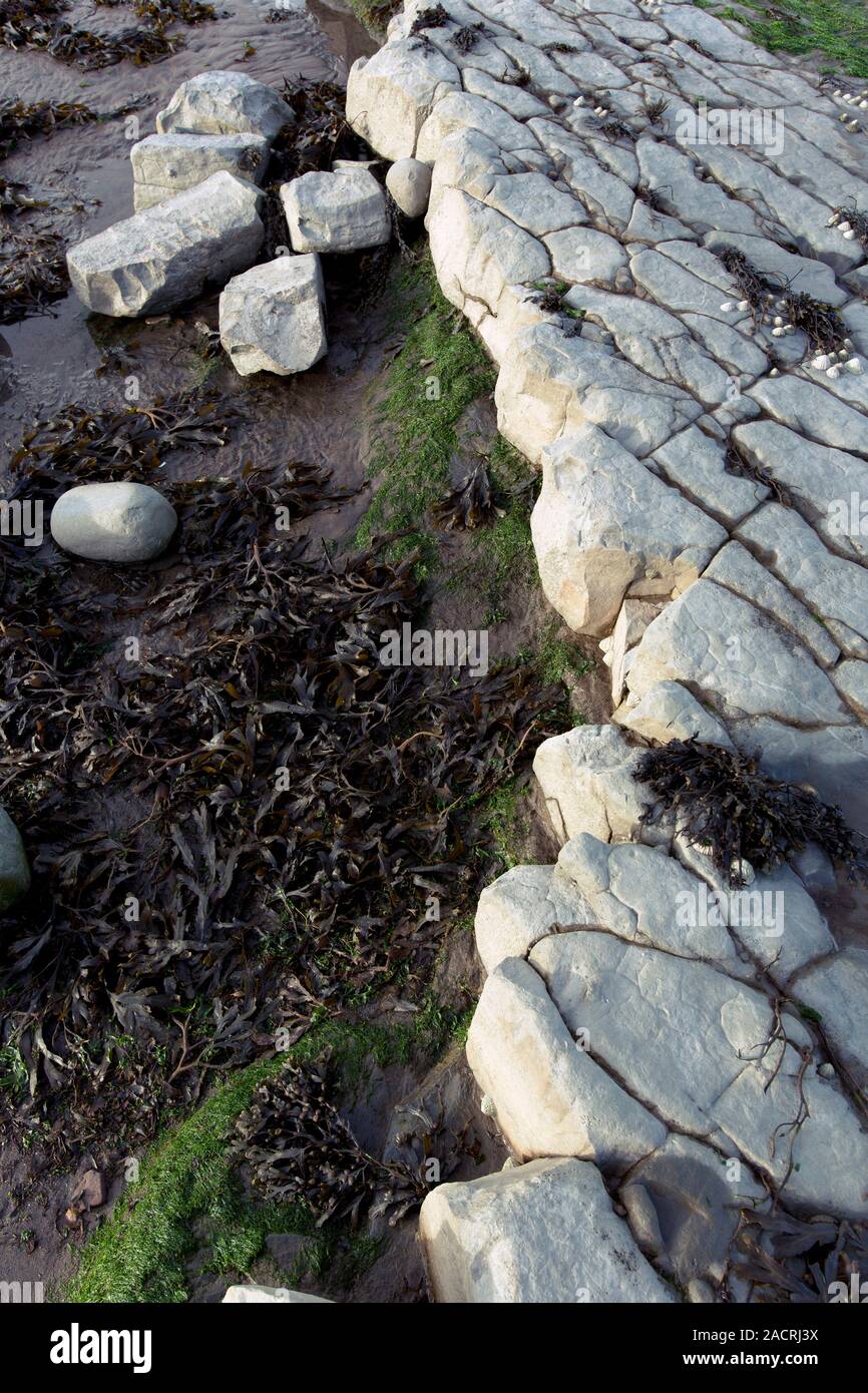 Limestone platform. Limestone forms in blocks, with level, smooth ...