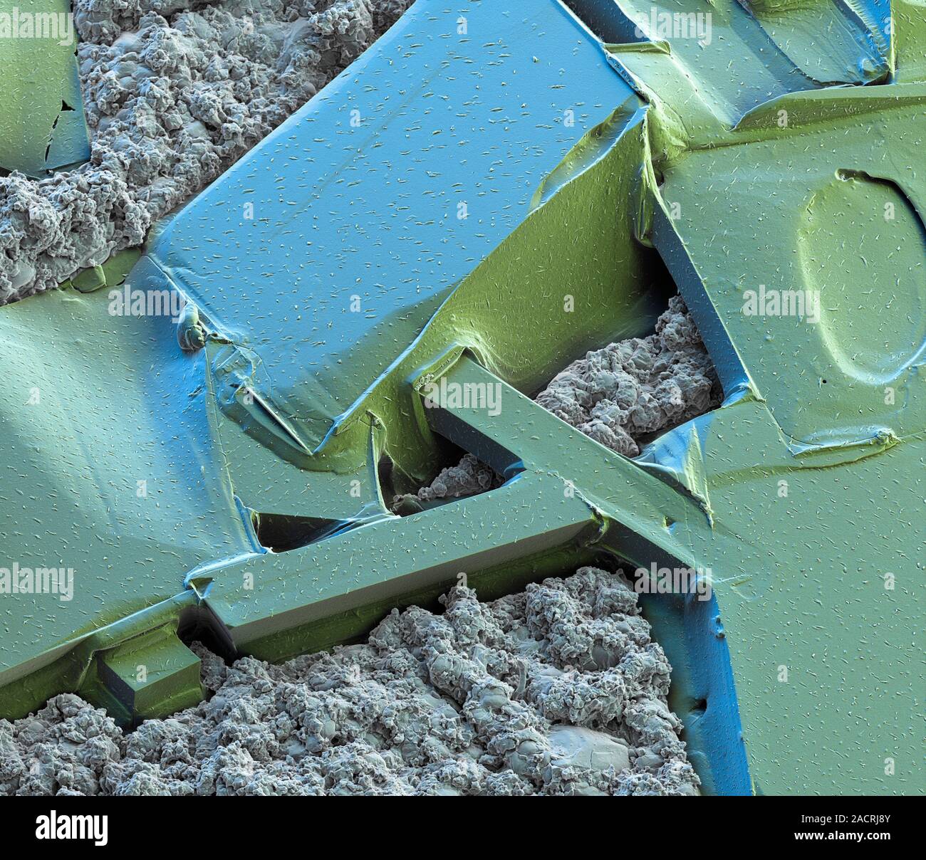 Sodium nitrate crystals, coloured scanning electron micrograph (SEM ...