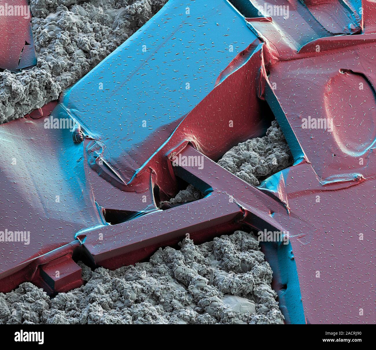 Sodium nitrate crystals, coloured scanning electron micrograph (SEM ...