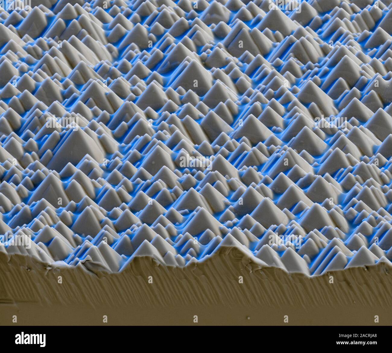 Solar cell surface, coloured scanning electron micrograph (SEM). The ...