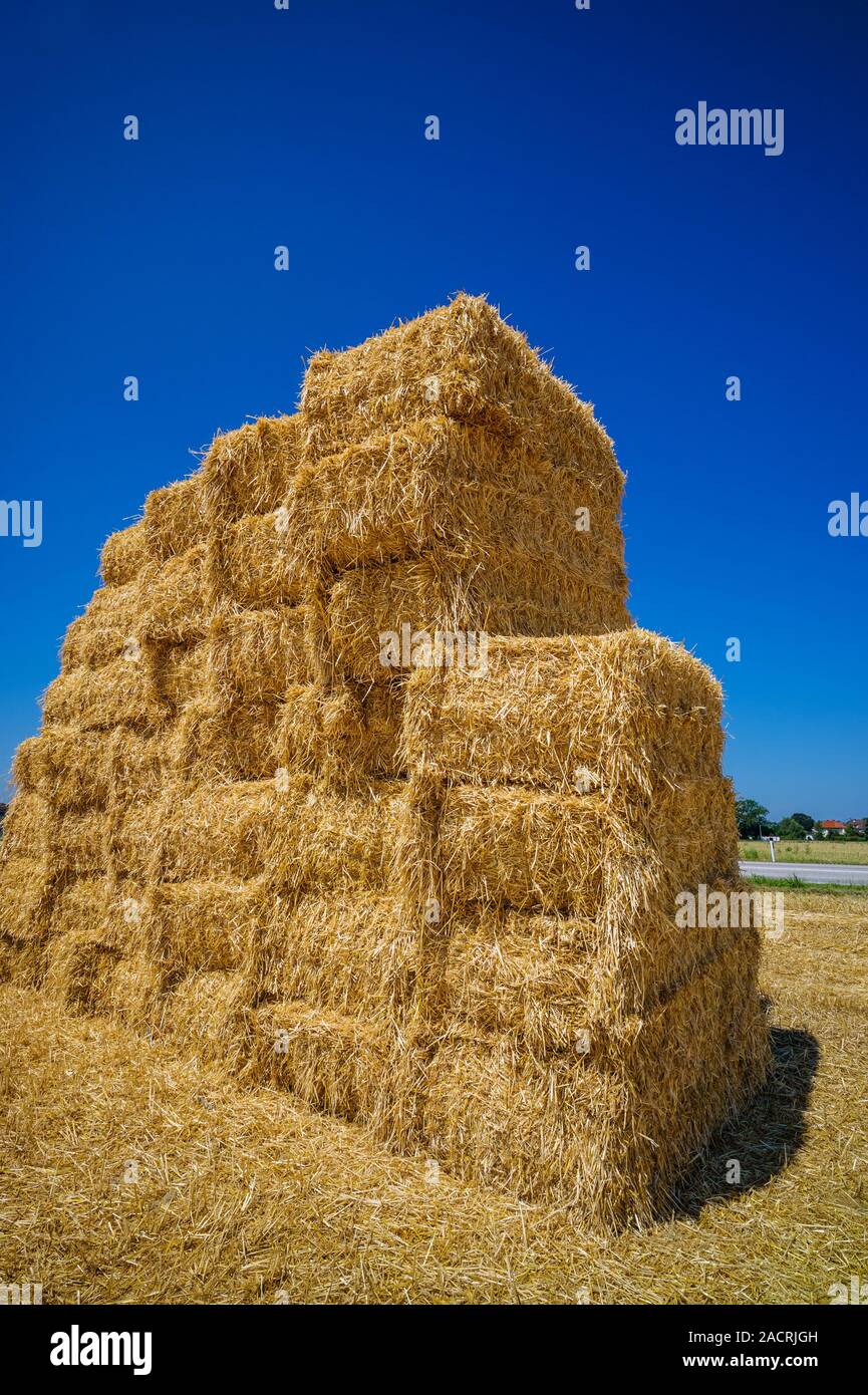 Grain bales from straw Stock Photo - Alamy