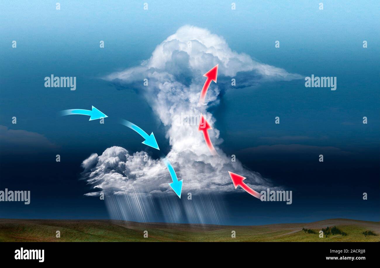 Cumulus thundercloud. Diagram showing the formation of a thunderstorm ...