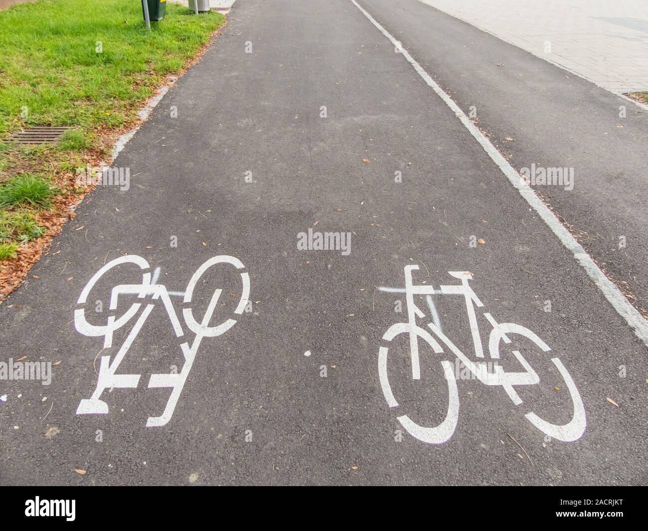 Marked cycle path Stock Photo - Alamy