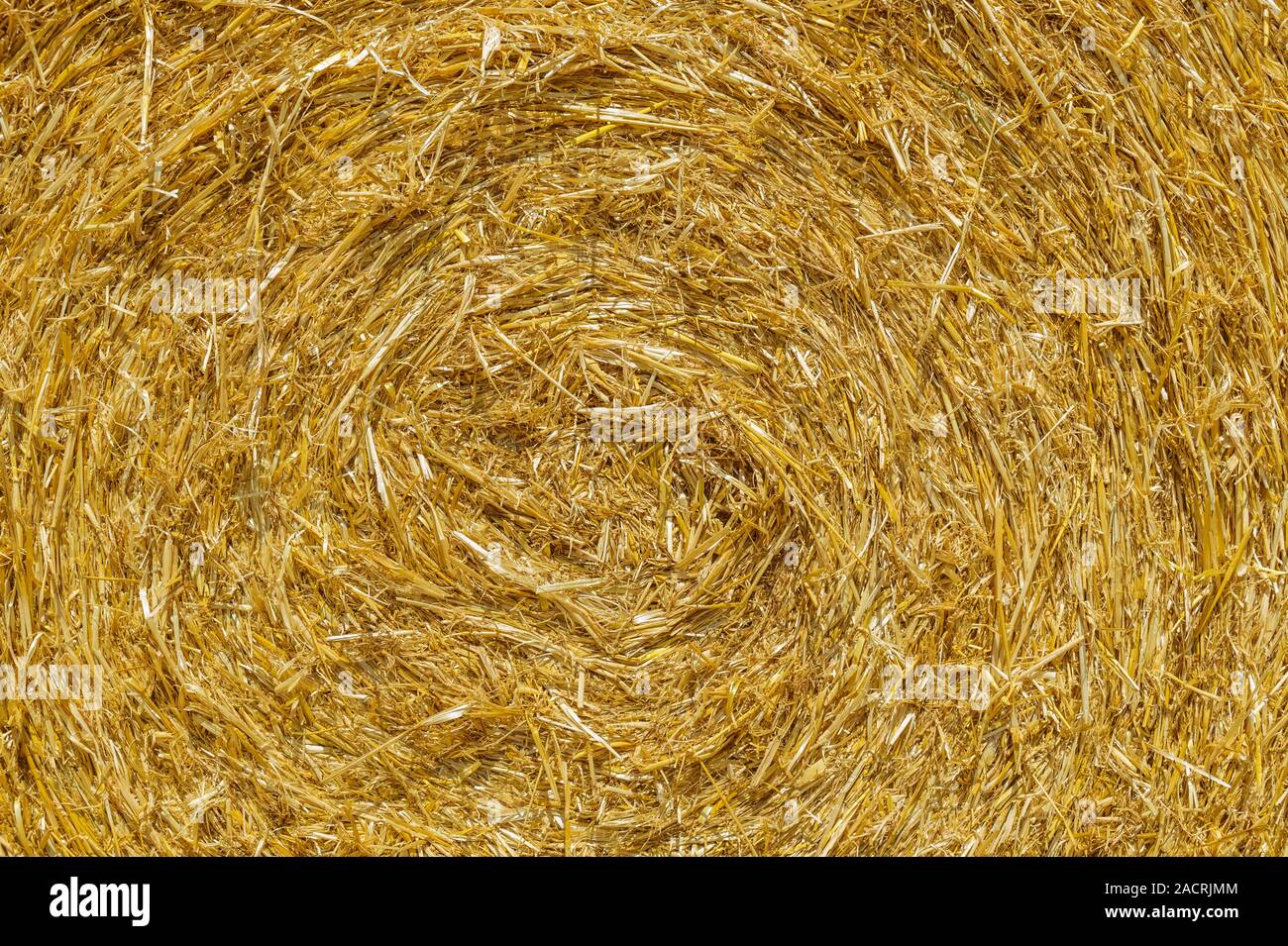 Grain bales from straw Stock Photo - Alamy