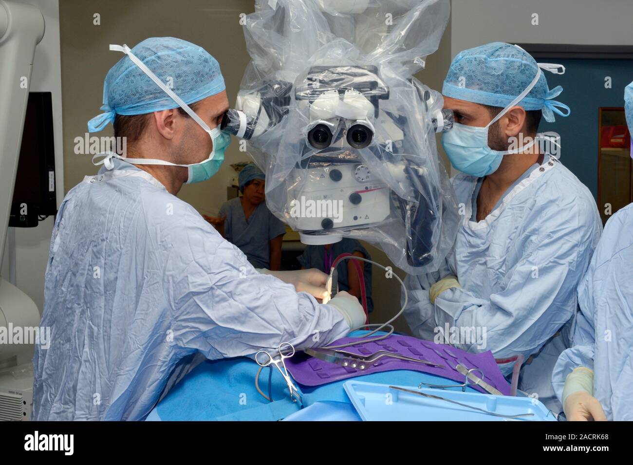 Craniotomy brain surgery. Surgeons using an overhead microscope viewer ...