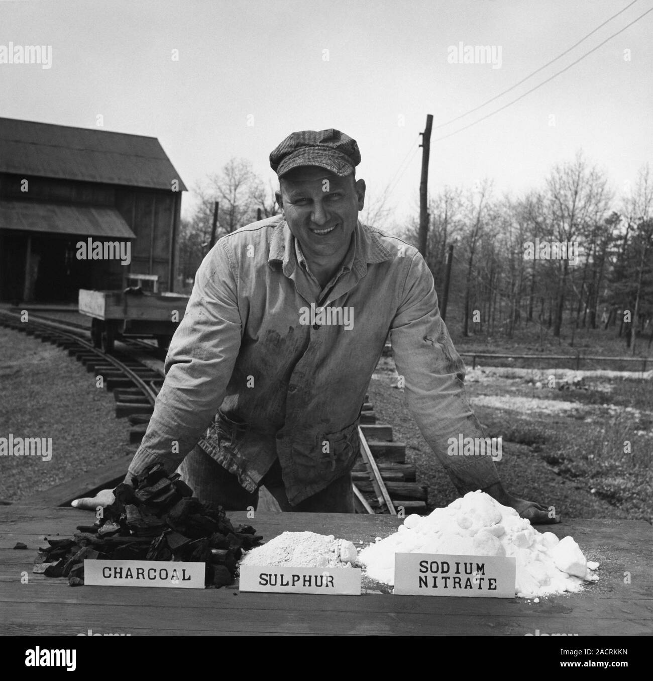Gunpowder ingredients. Worker displaying the raw materials used for the ...