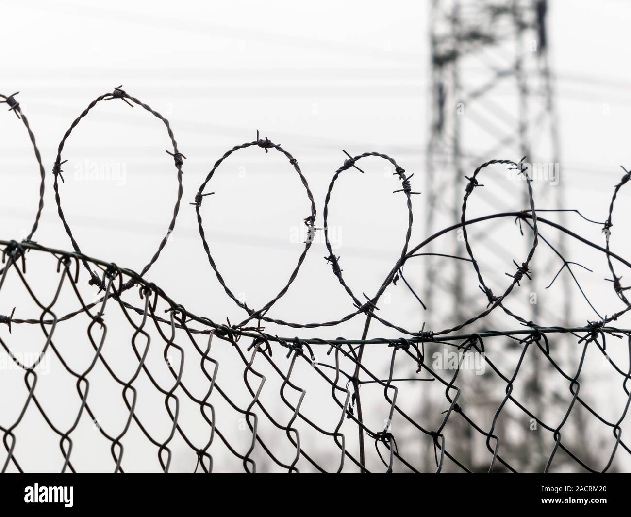 Barbed wire fence Stock Photo - Alamy