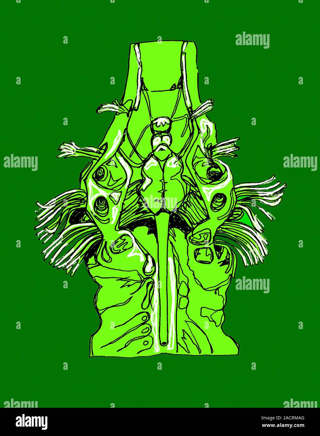 Electric ray brain, illustration. Electric rays are able to produce an ...