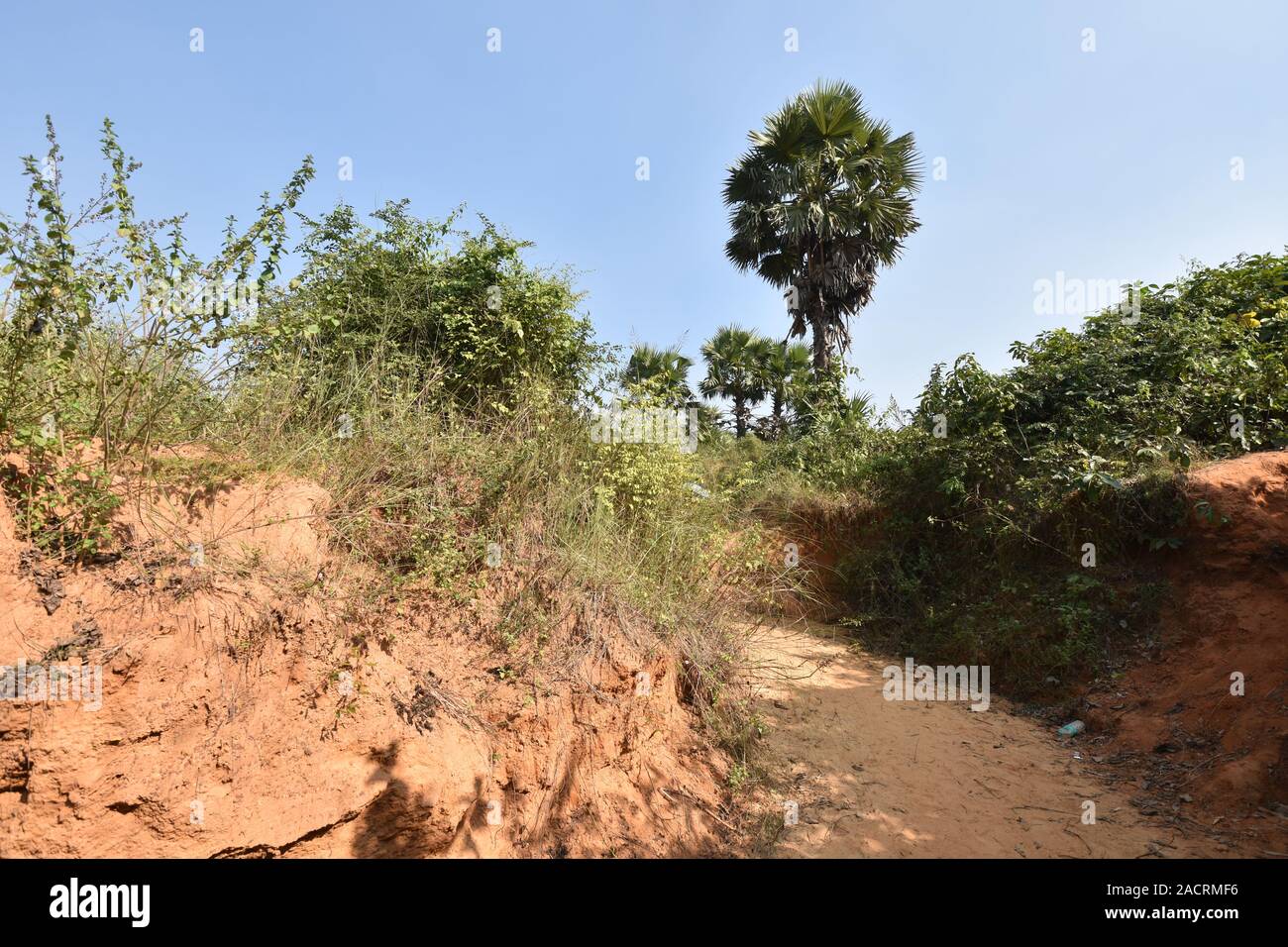 Canyon In Bengal High Resolution Stock Photography and Images - Alamy