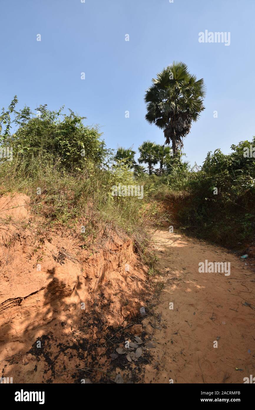 Deep gully gorge hi-res stock photography and images - Alamy