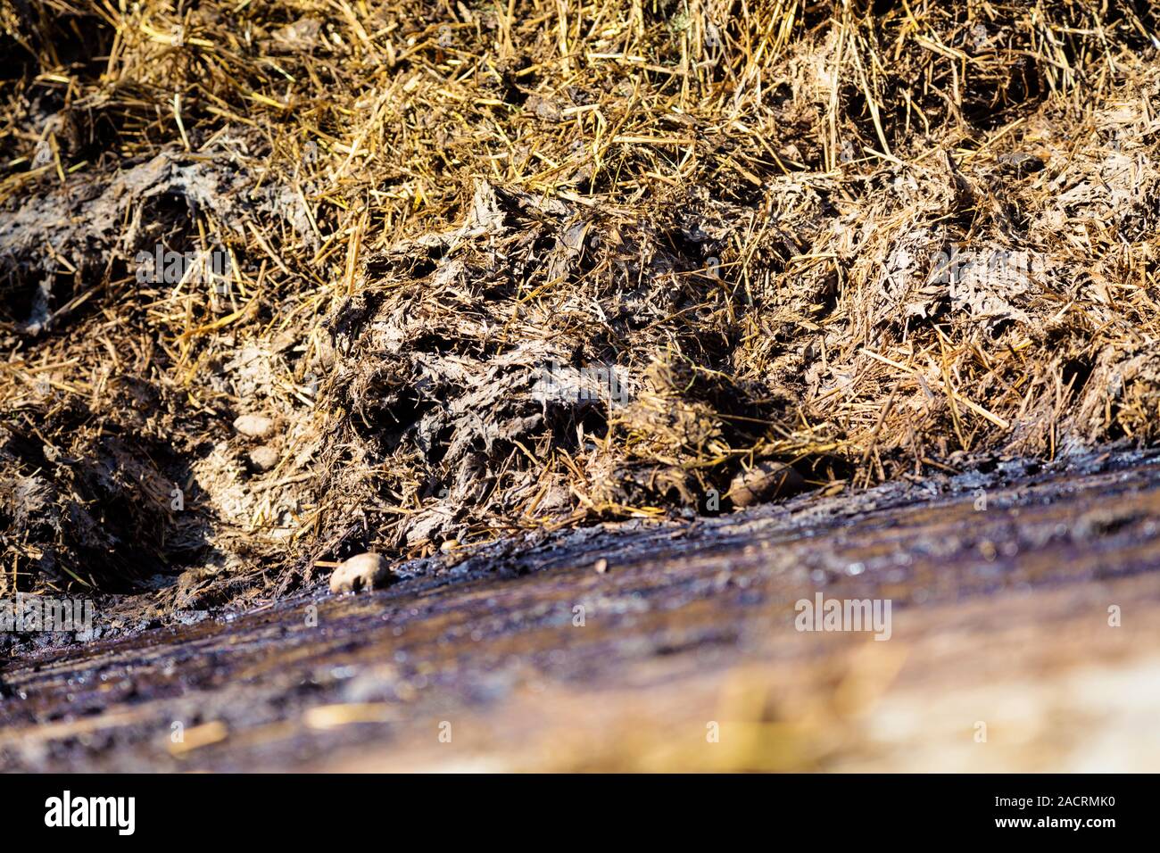 Dunghill hi-res stock photography and images - Alamy