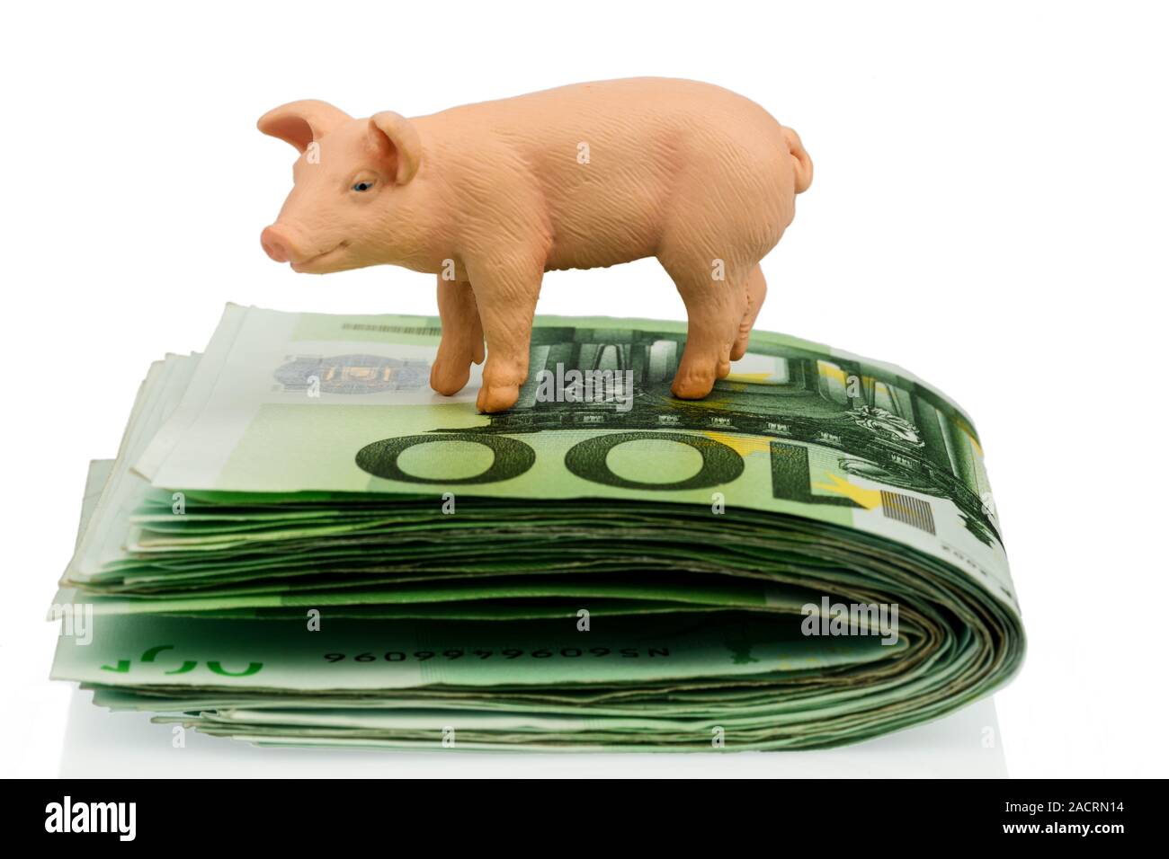 Pig on euro banknotes Stock Photo - Alamy