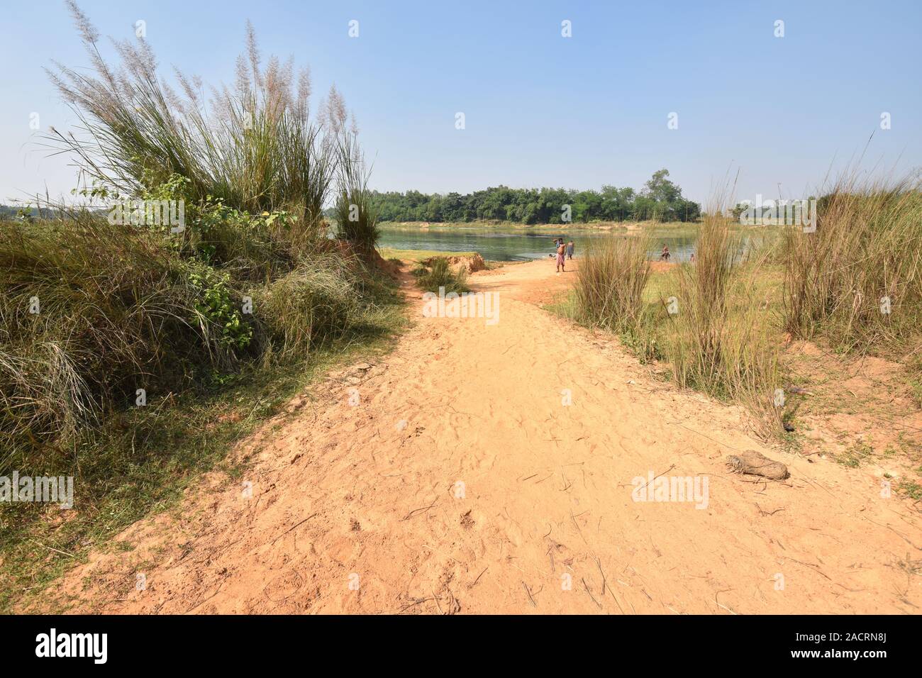 Gully of the Gangani ravines at the bank of the river Shilabati or ...