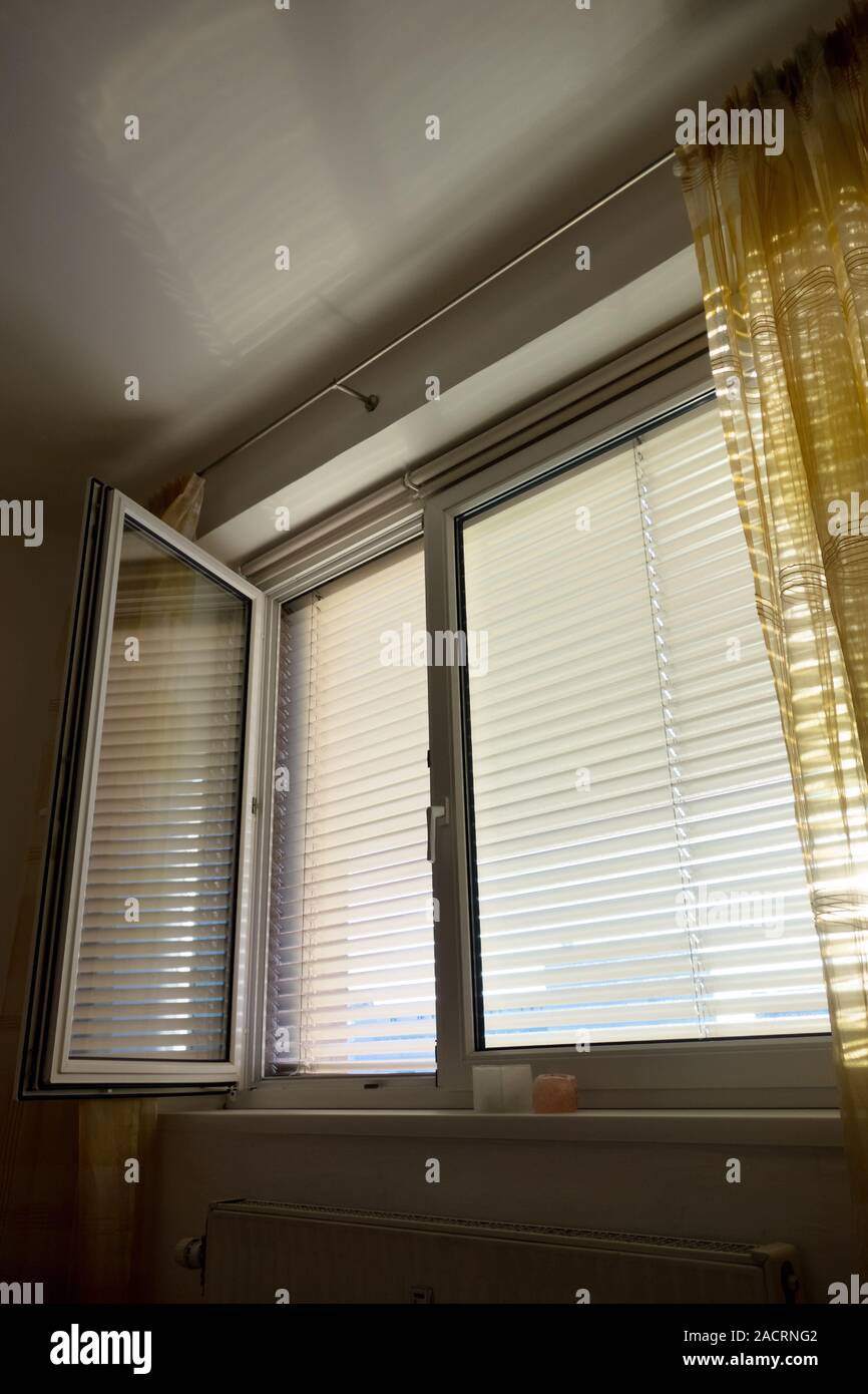 Venetian blinds as sun protection at the window Stock Photo - Alamy