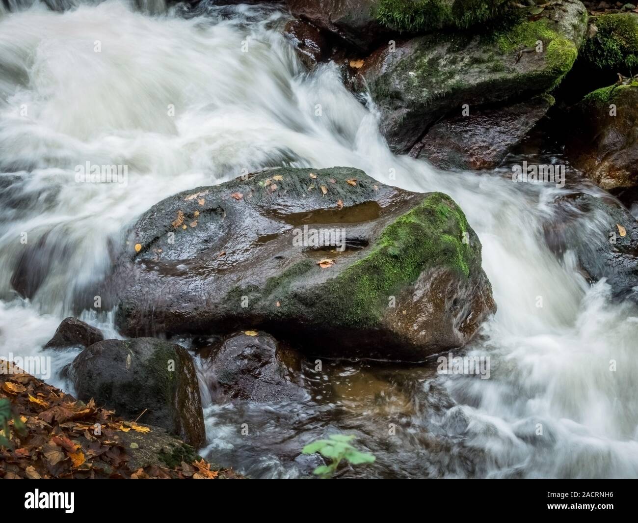 Stream with running water Stock Photo - Alamy