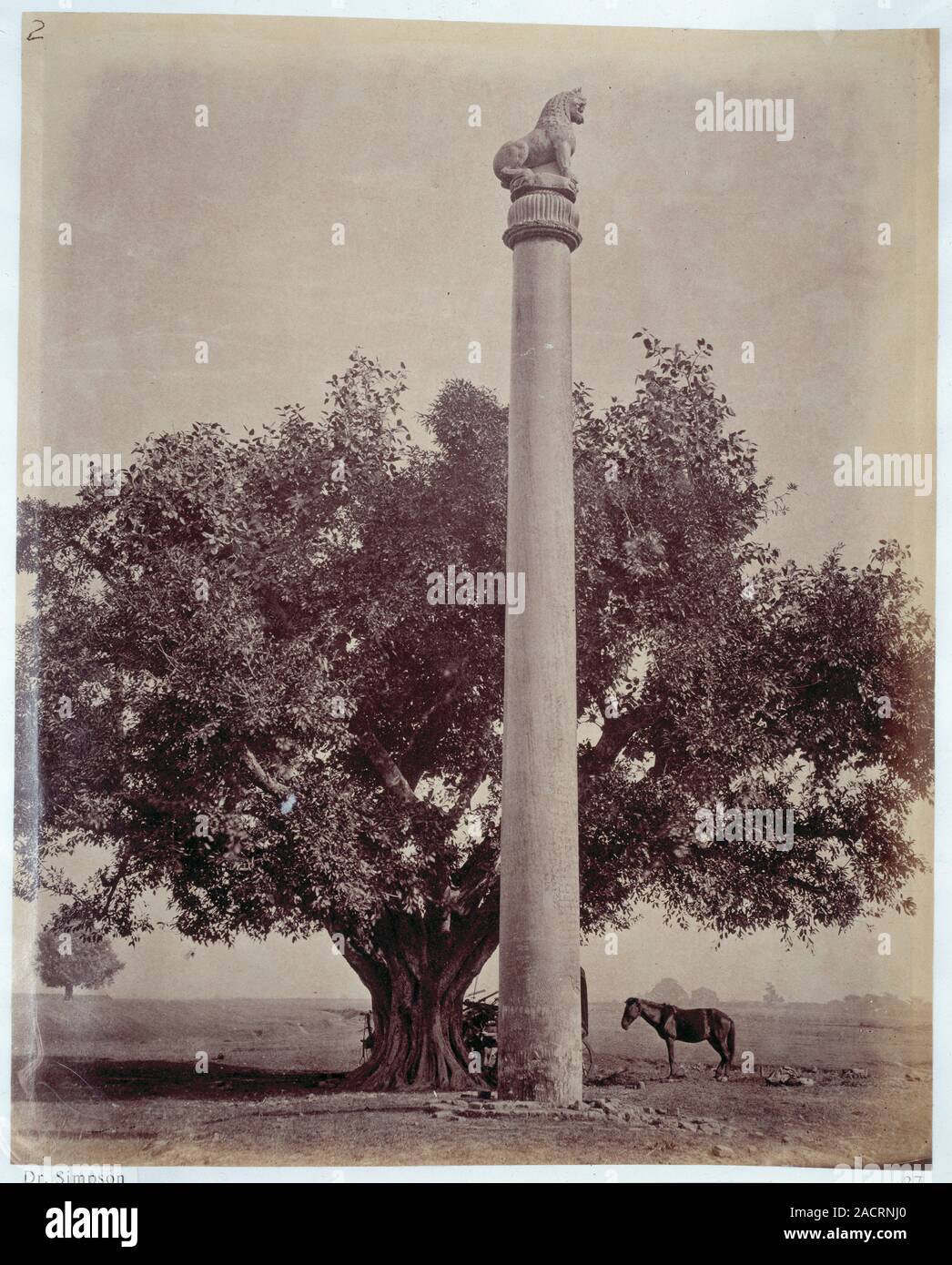 Asokan Edict Pillar, A side view of the Asokan Edict Pillar, Lauriya ...