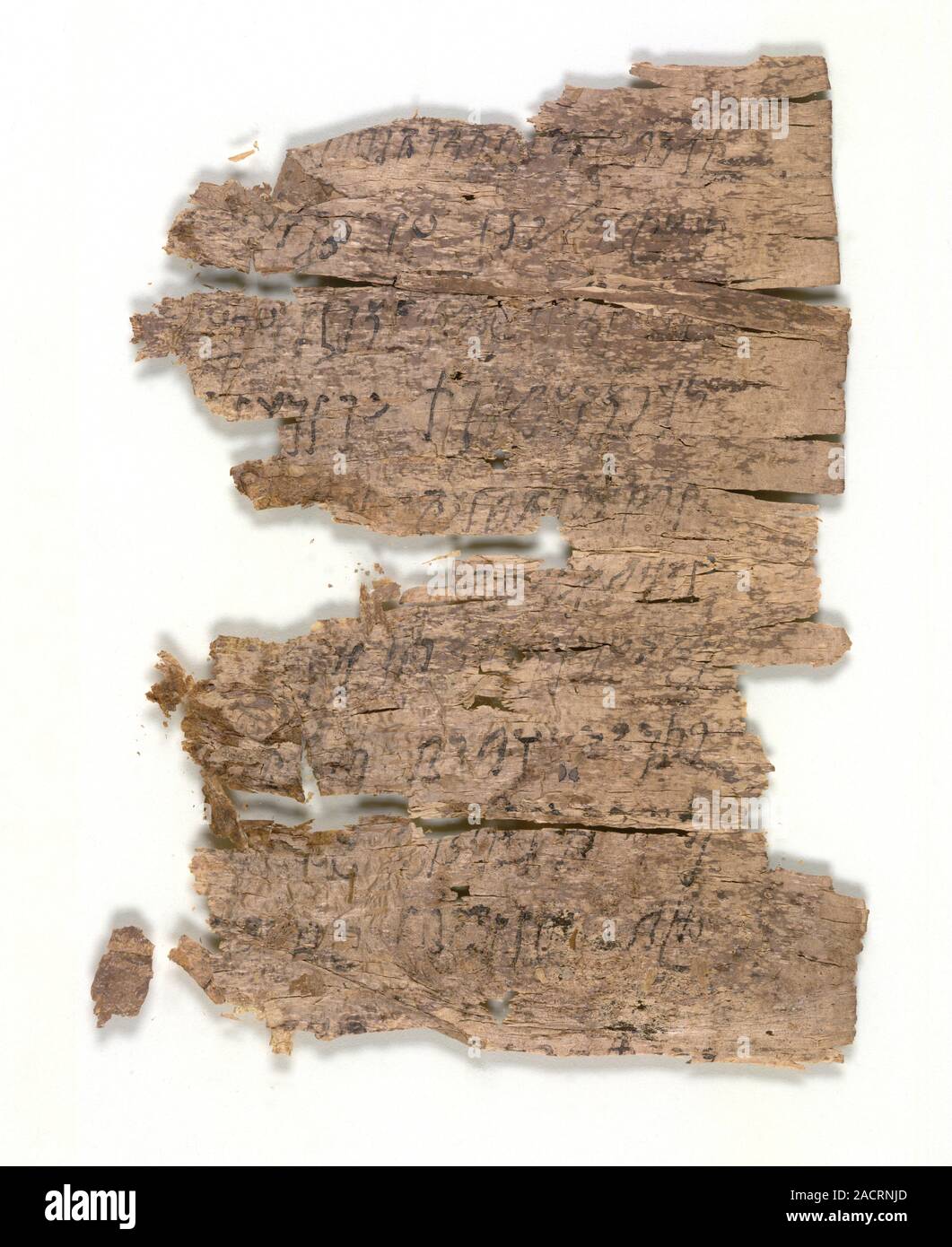 Fragmentary Buddhist text, The manuscript is written on birchbark and ...