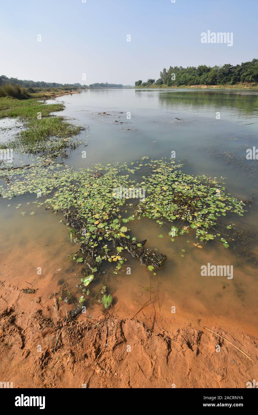River Shilabati or Silai at the Gangani ravines in Garbeta, West Bengal ...