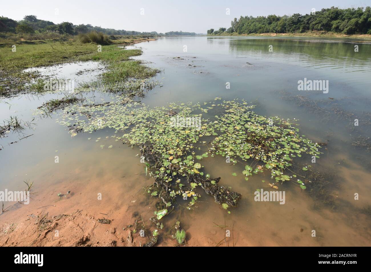 River Shilabati or Silai at the Gangani ravines in Garbeta, West Bengal ...