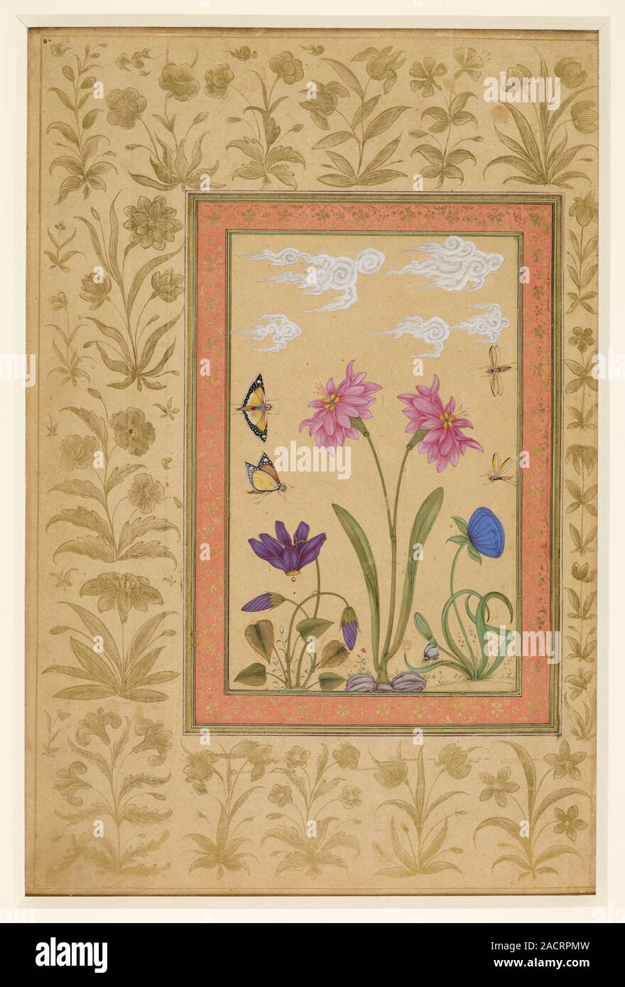 Flowering plants and insects. Opaque watercolour background not ...