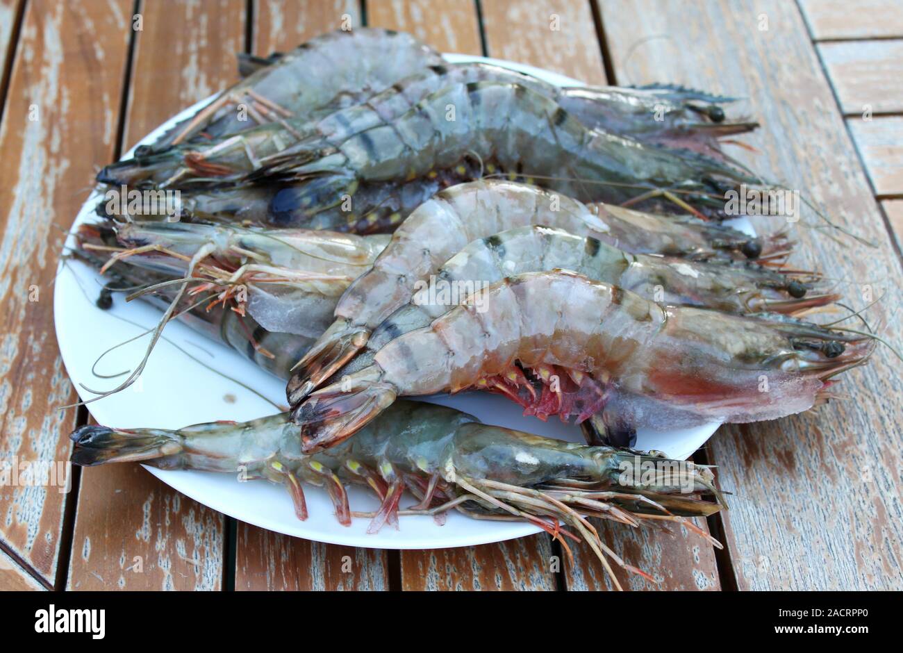 Shrimp farmer hi-res stock photography and images - Alamy