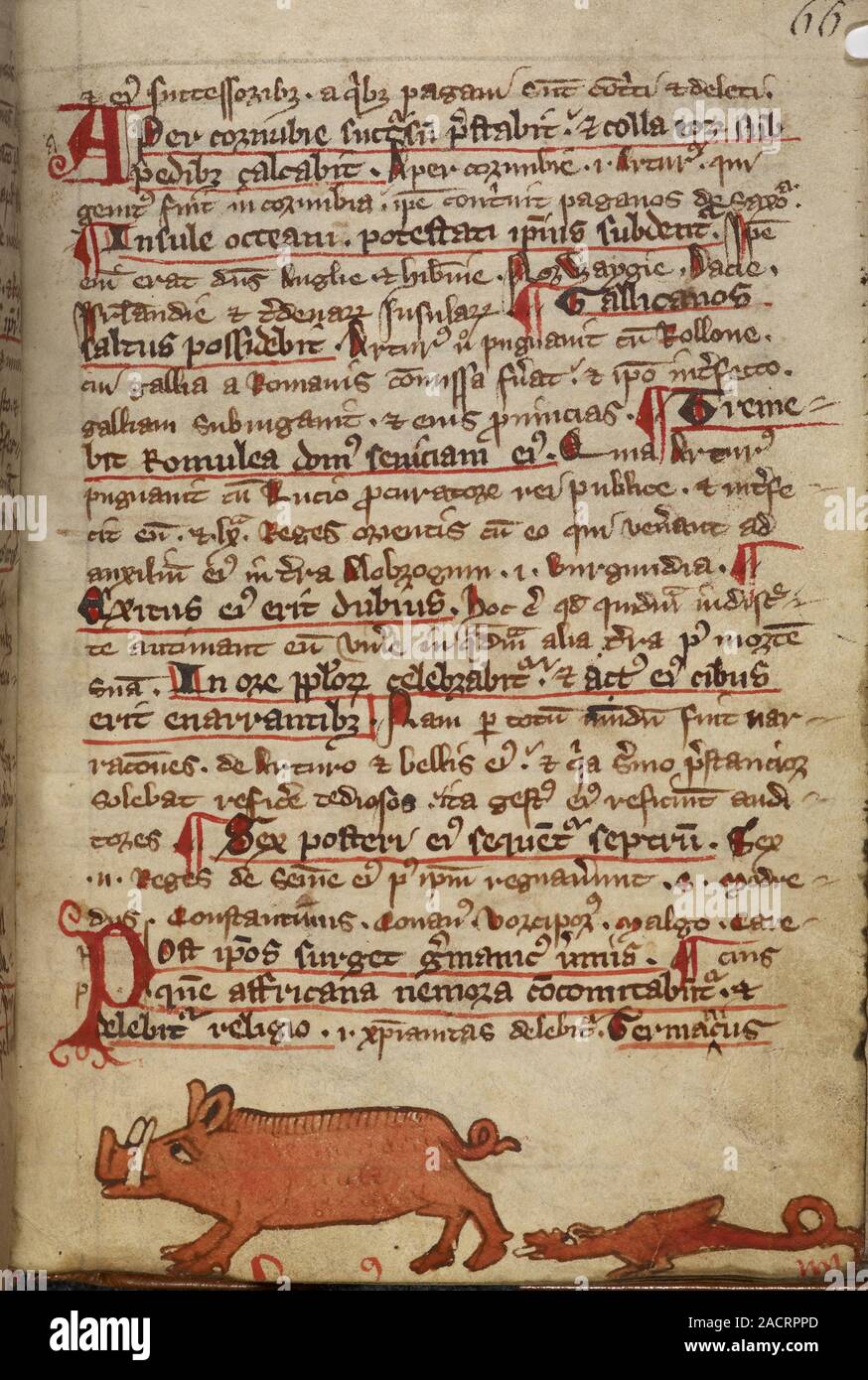 Dragon chasing a boar Detail Marginal illustration of a dragon chasing ...